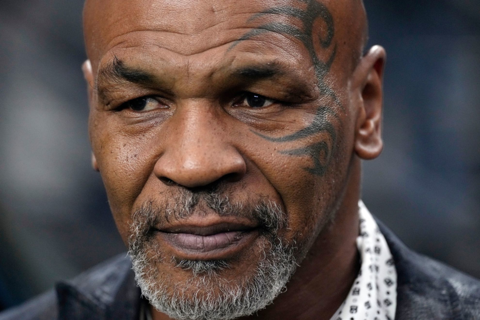 Mike Tyson - Últimas noticias sobre Mike Tyson.