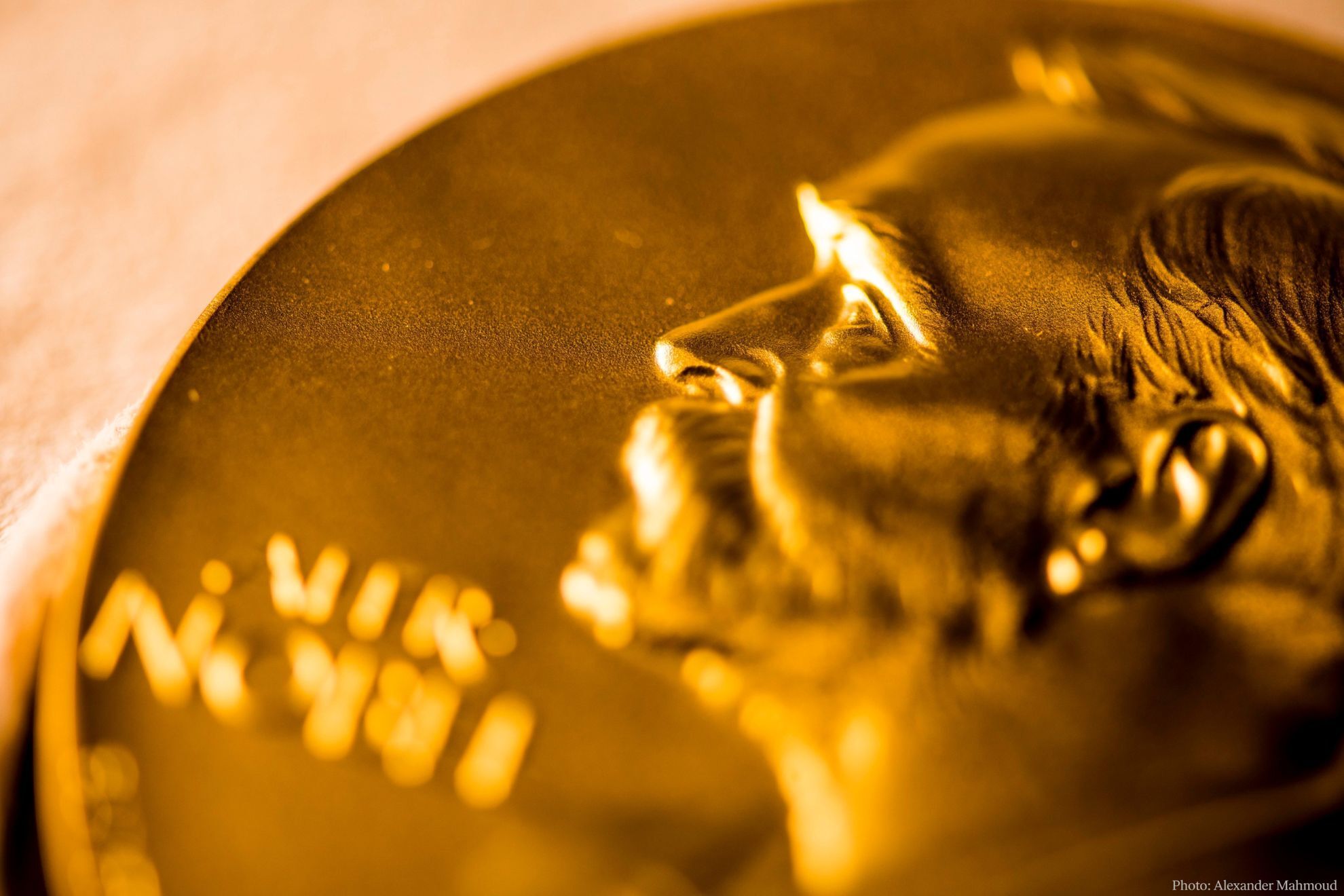 Bienestar - Últimas noticias sobre Bienestar