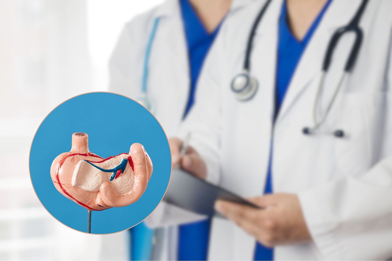 ¿Cuáles son las etapas de la enfermedad del hígado graso? Síntomas y ...