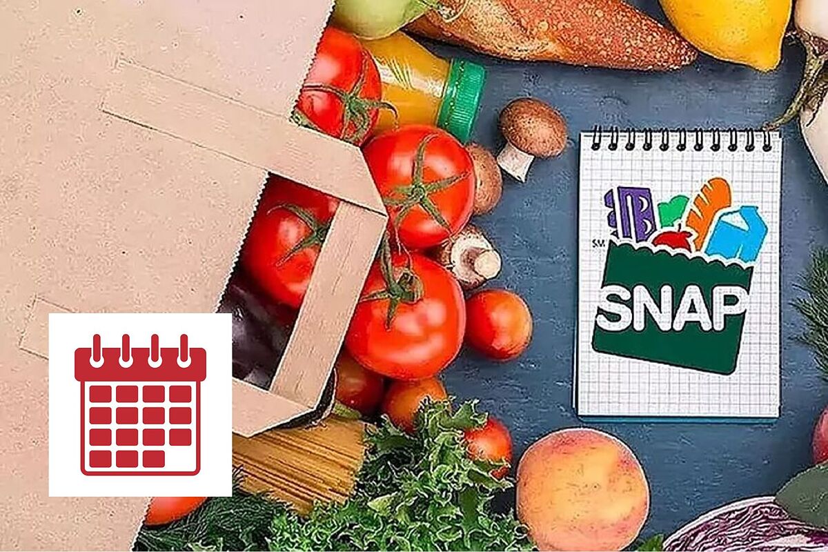 ¿Quiénes reciben su pago de SNAP Florida esta semana? Lista para la ...