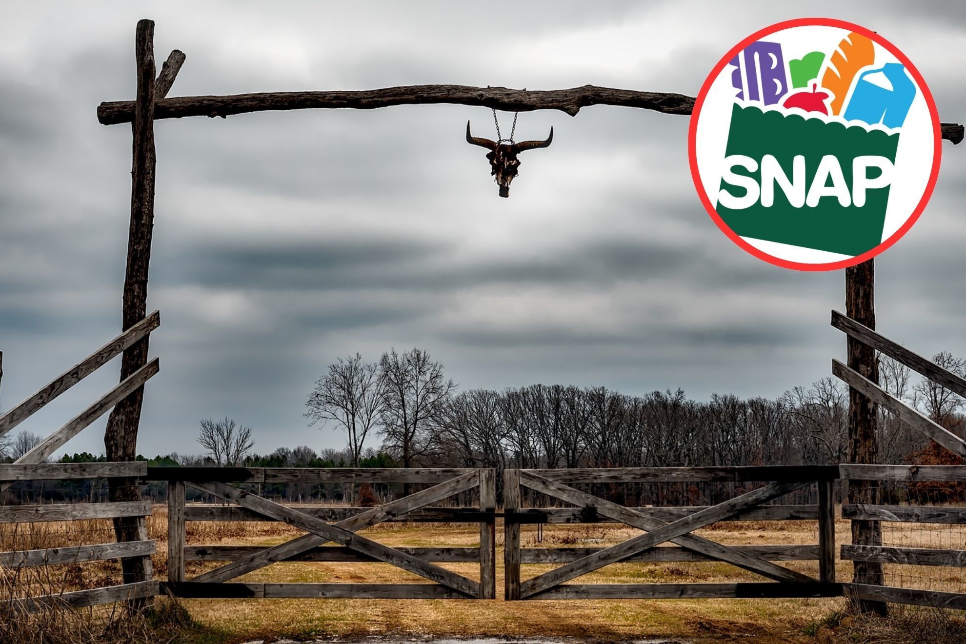 Texas - Últimas noticias sobre el Estado de Texas